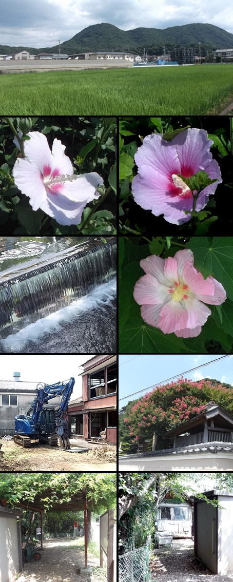 9219 ≪運動散歩 2024年8月1日 香貫台≫: 換水録