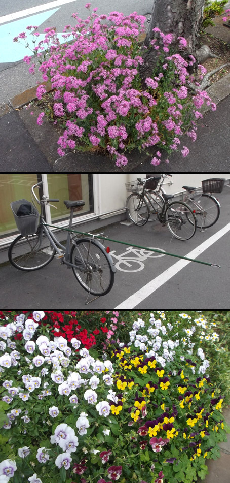 9508 ≪図書館行き帰り 2025年5月15日≫: 換水録